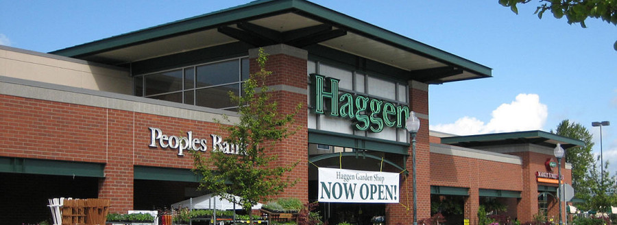 Haggen laying off dozens of workers, union filing grievances