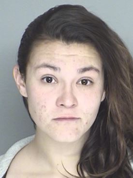 Nipomo woman arrested after wild cross-county chase