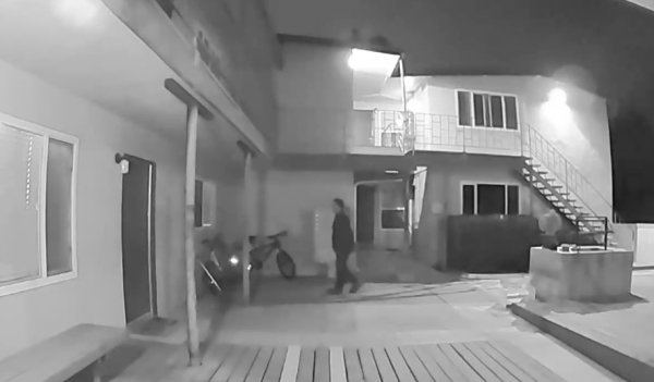 Prowler caught on video looking in window of SLO apartment