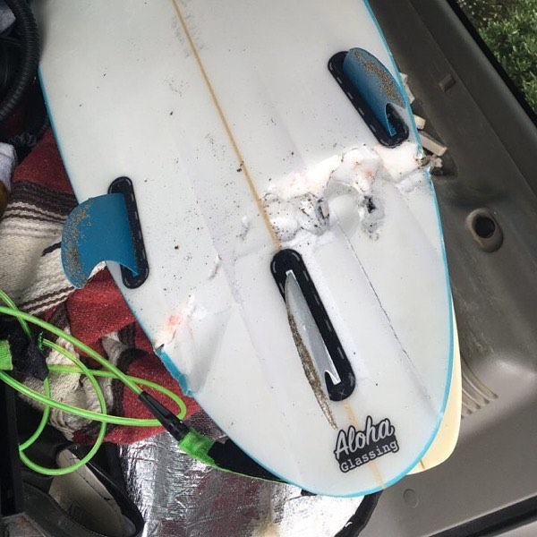 Shark attacks Cal Poly student surfing at Montana de Oro