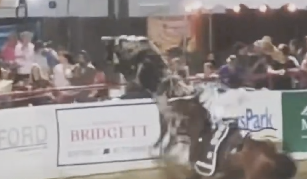 Runaway bull injures six people at rodeo