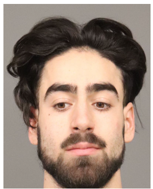 SLO teen charged with domestic violence, gun possession