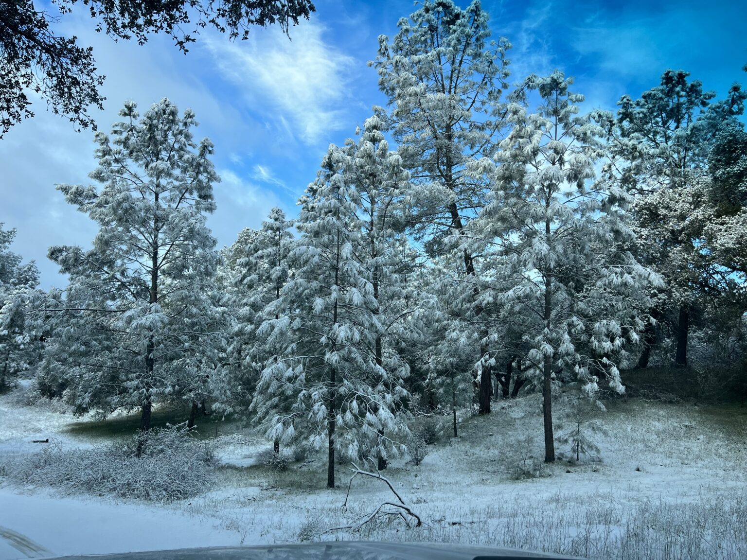 Photos show northern SLO County blanketed in snow