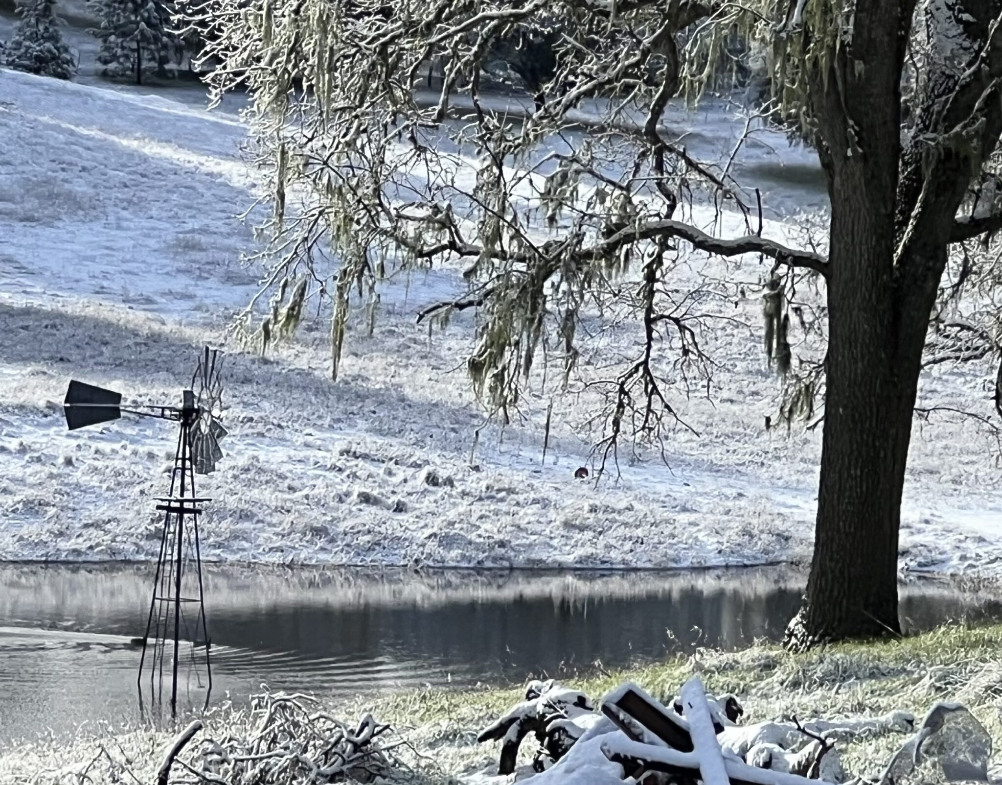 Photos show northern SLO County blanketed in snow