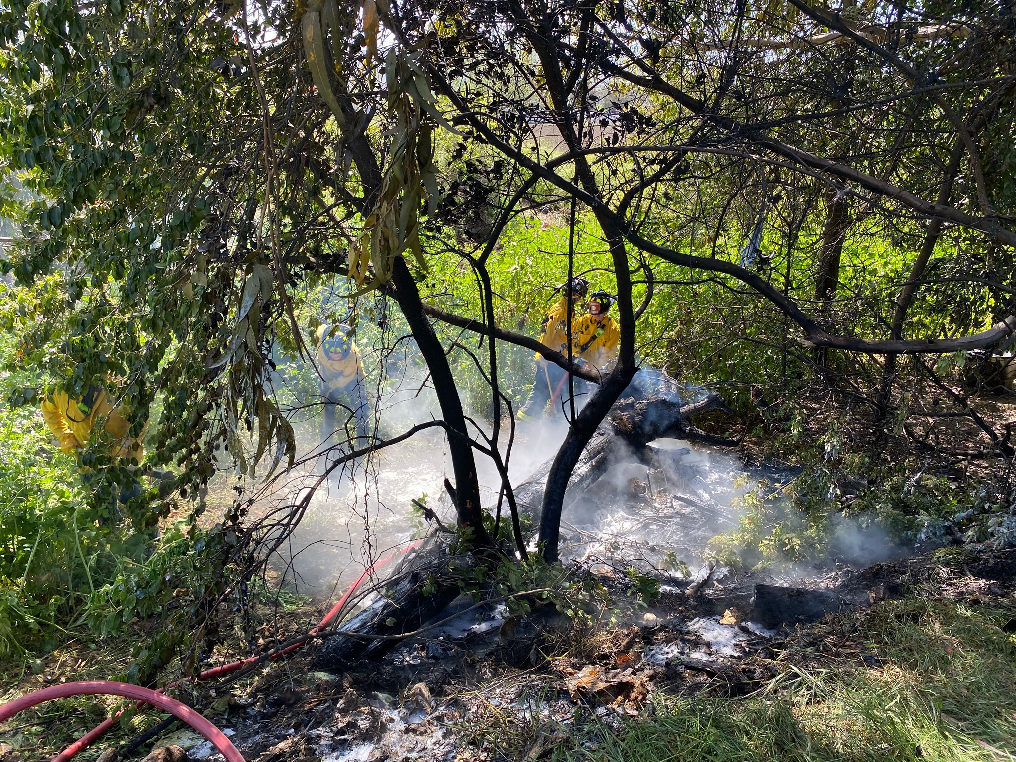 Encampment fire burns brush behind San Luis Cemetery