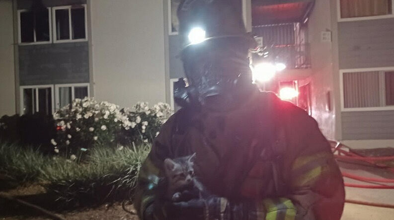 Firefighters battle blaze at apartment in San Luis Obispo