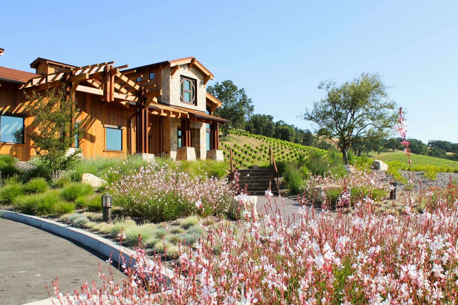 Paso Robles winery owner responds to sexual harassment lawsuit