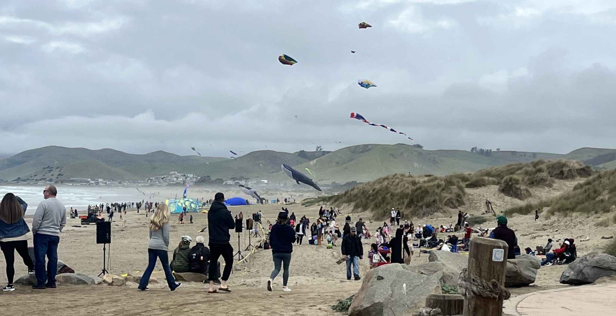 Hundreds of people attend Morro Bay Kite Festival