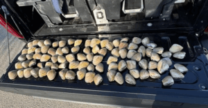 Pismo Beach police cite four people for illegal clamming