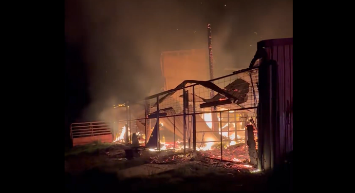 Barn fire kills five animals in Templeton