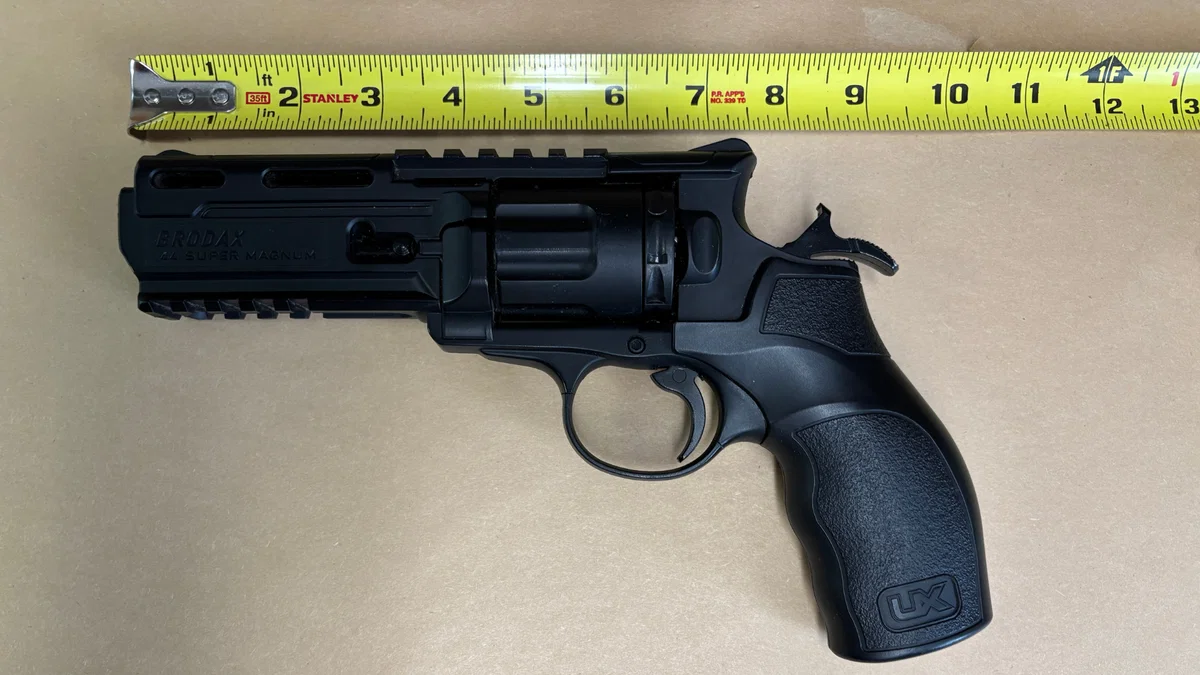 Man shoots Santa Barbara officer in the head with pellet gun